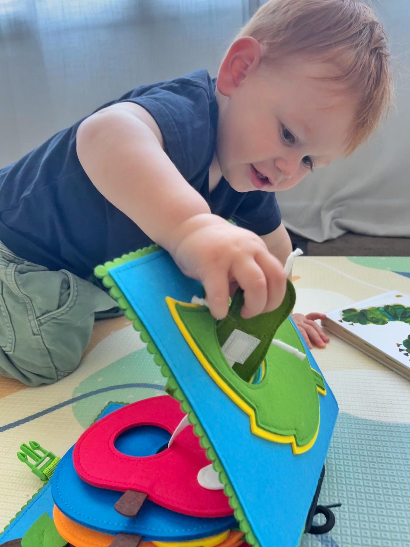Hungry Caterpillar Book - Limited Edition – Wondertivity